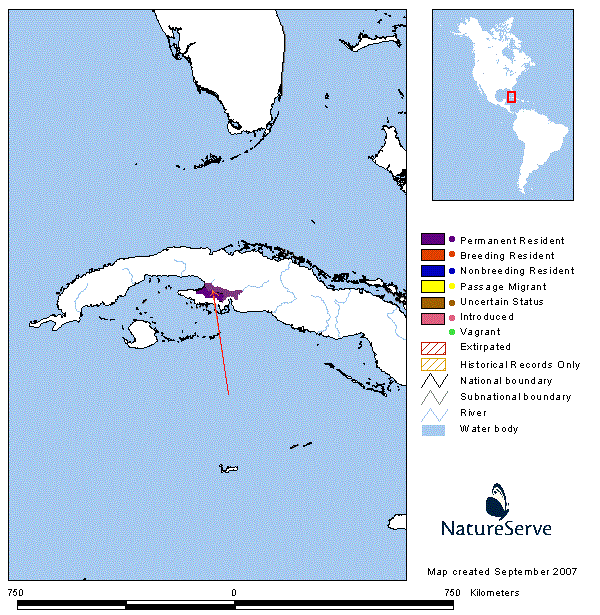 Laberinto en extinción: Gallineta de Zapata (Cyanolimnas cerverai)