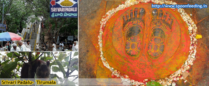 Journey to Tirupati and Surrounding Places - Tourist Attractions in ...