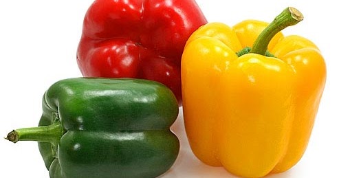 MBINU BORA ZA KILIMO CHA PILIPILI HOHO - Kilimo Hai