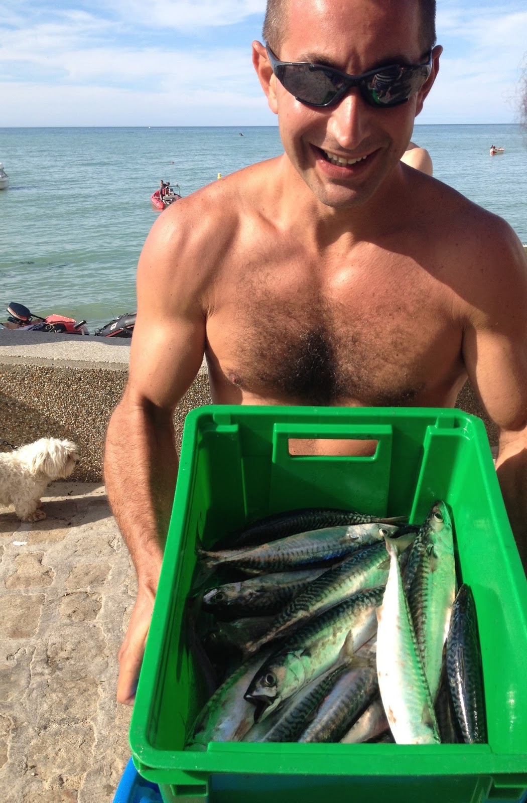 Me and my shadow: Where do fish come from?