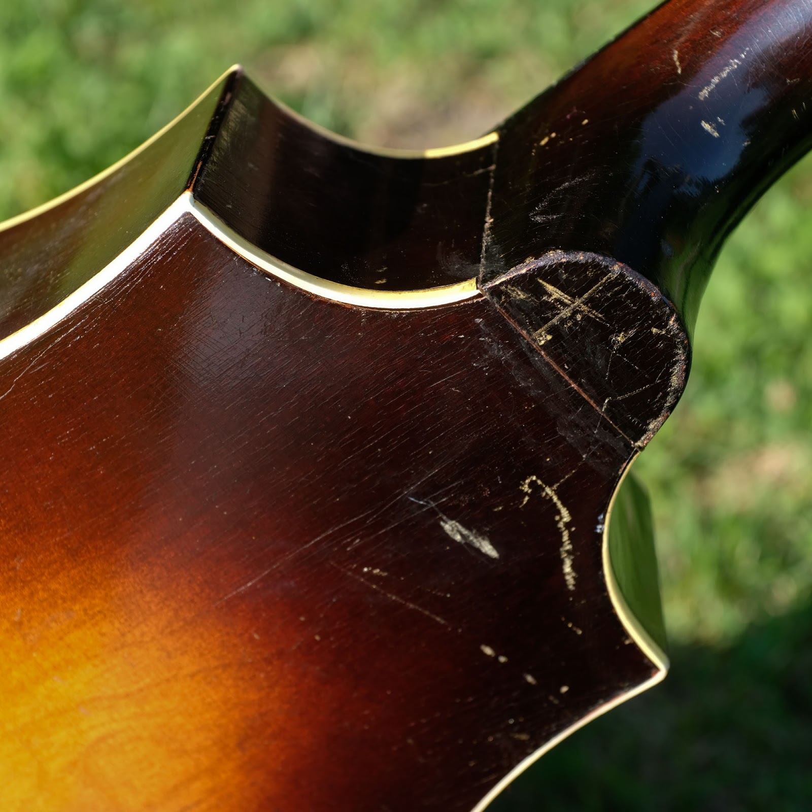 1930s Regal Octofone Octave Mandolin/8 String Tenor Guitar