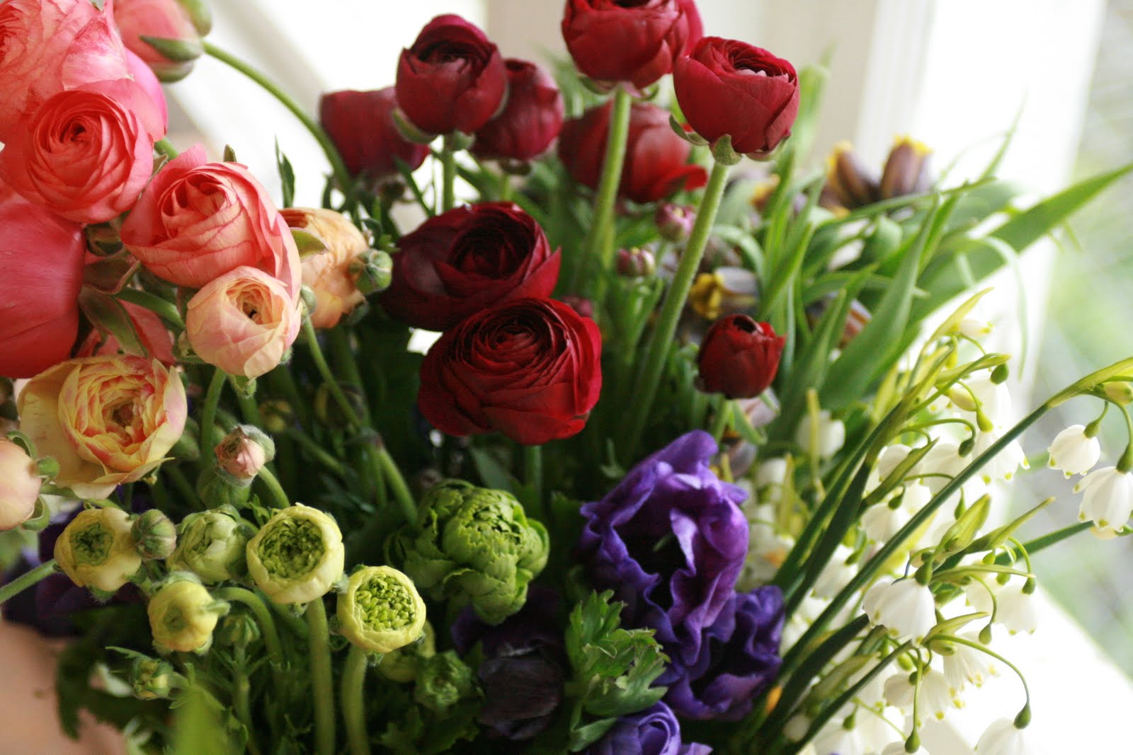 Pheew! - Floret Flowers