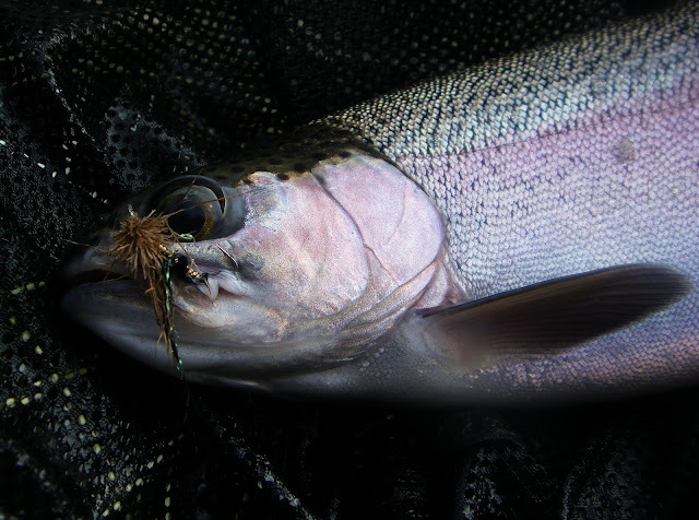 Home Waters: A Fly Fishing Life: Chopaka Lake Report: So Long, September