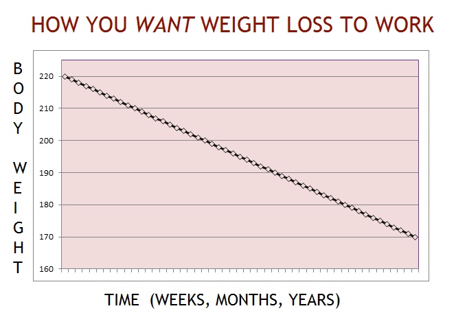 Tuit Nutrition: New Perspectives on Low Carb Diets for Weight Loss