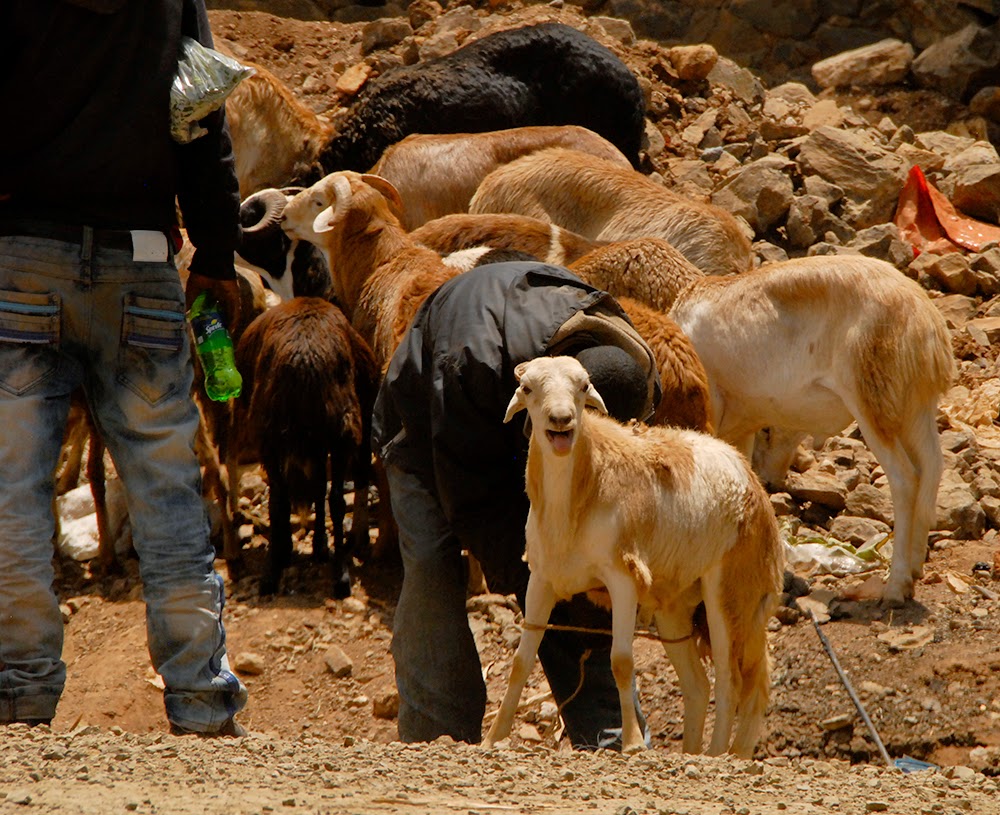 Till We Have Places: Easter in Addis