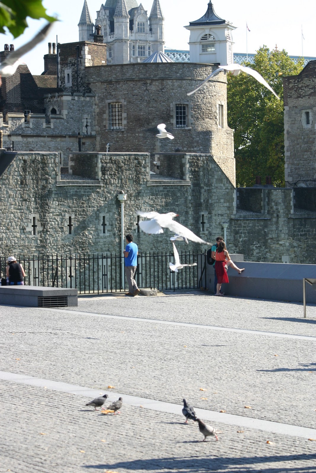 Lawrence Dodgson: January 2012