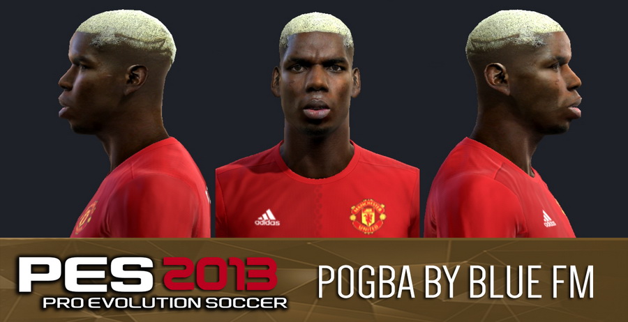 pes-modif: PES 2013 Pogba Face By Blue FM