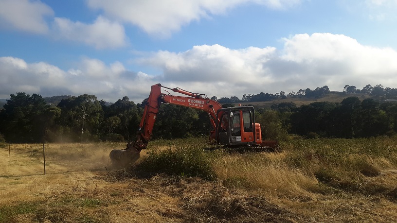 School Update: Harkaway Hills College - Count down! Full primary for ...