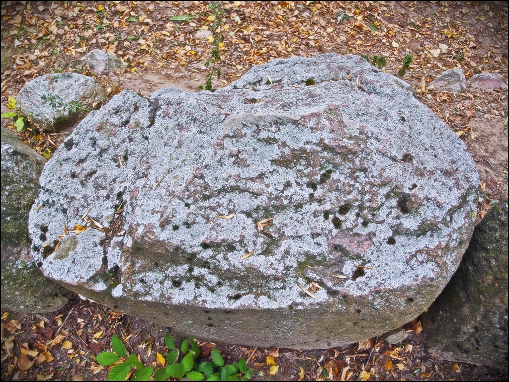 PHOTODOCUMENT & pinhole: Megalityczny Kurhan ze Złotowa