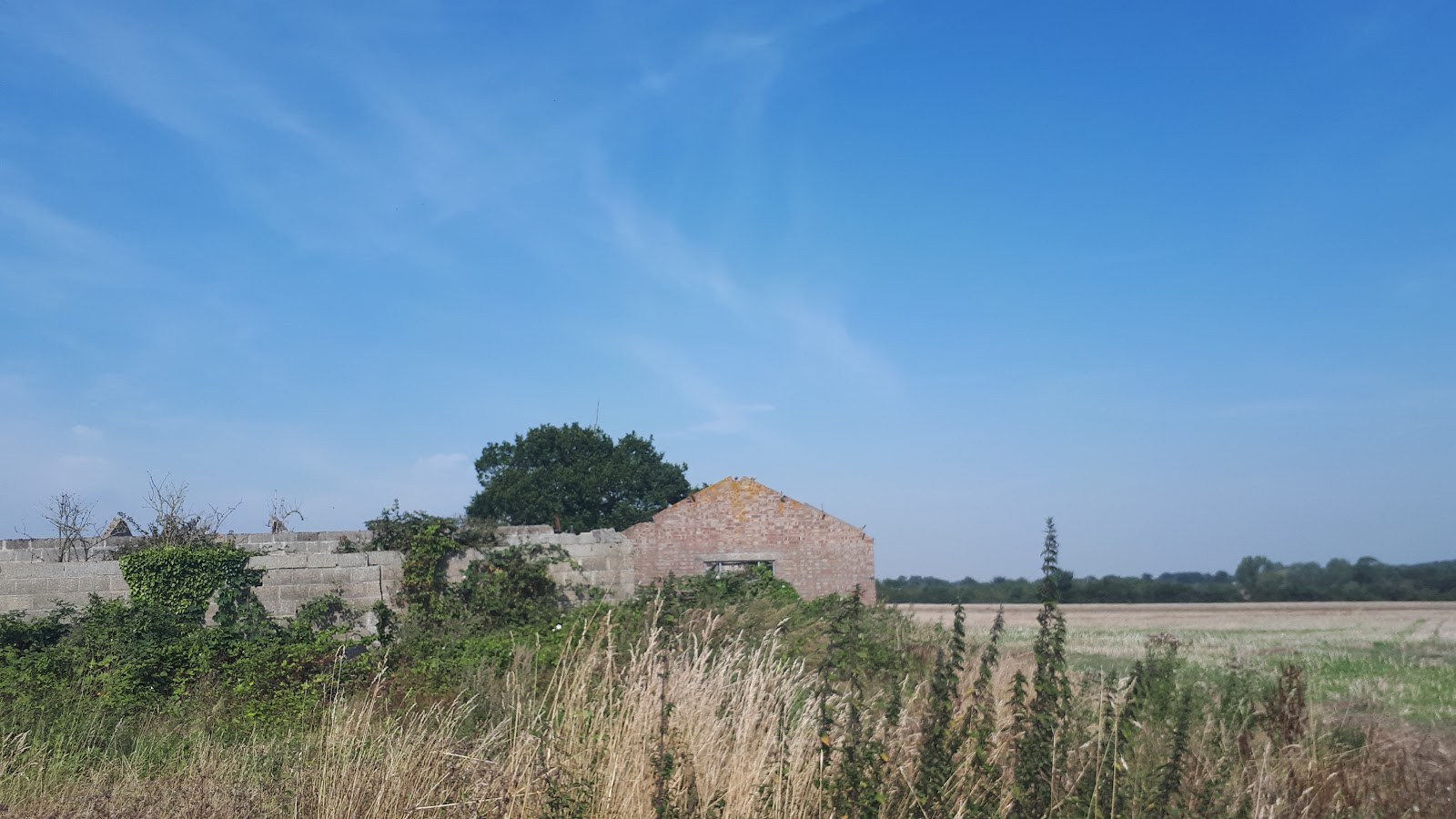 Saxmundham to Rendham Circular Walk ~ Griffmonsters Great Walks