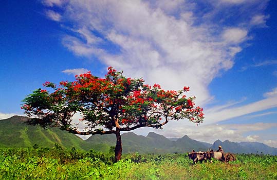 beauty of shan state and its culture ~ Daitoday