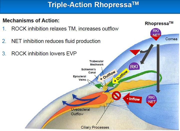GLAUCOMA SPECIALIST BLOG: "THE GLOG"
