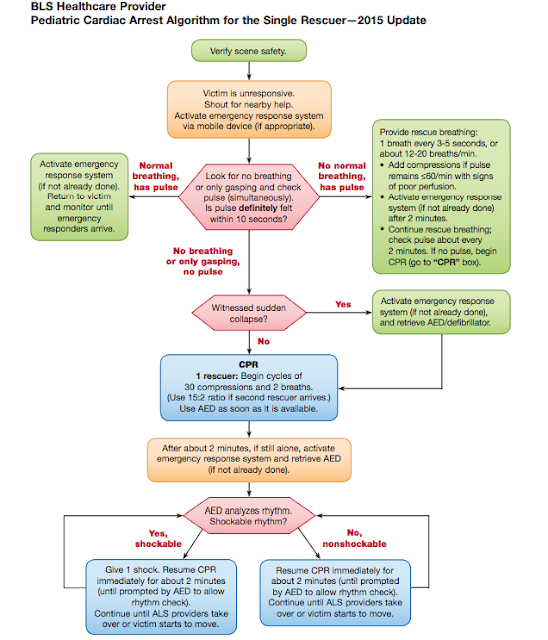 Nuevas Guías de Reanimación en pacientes pediátricos 2015: Reanimación ...