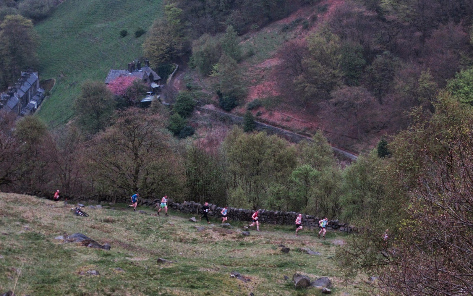 Julian's Fifty at Fifty: Race 25: Orchan Rocks