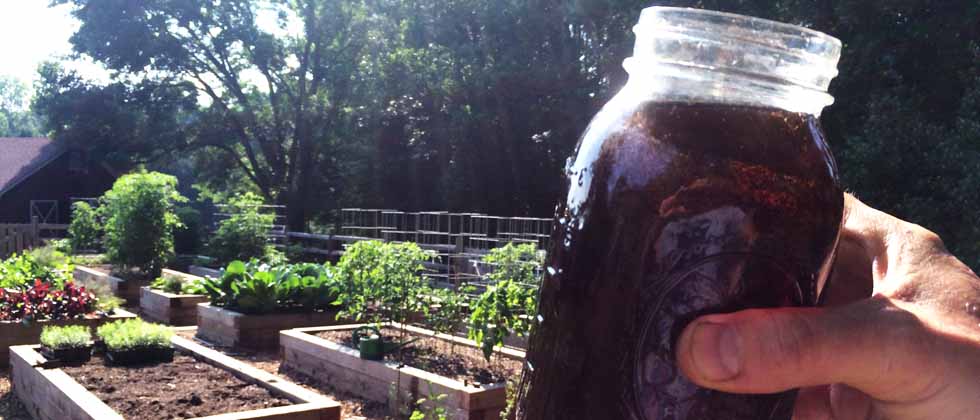 10 Masakan Ekstrim Yg Tak Lazim di Dunia - Beberapa Ada di Indonesia ...