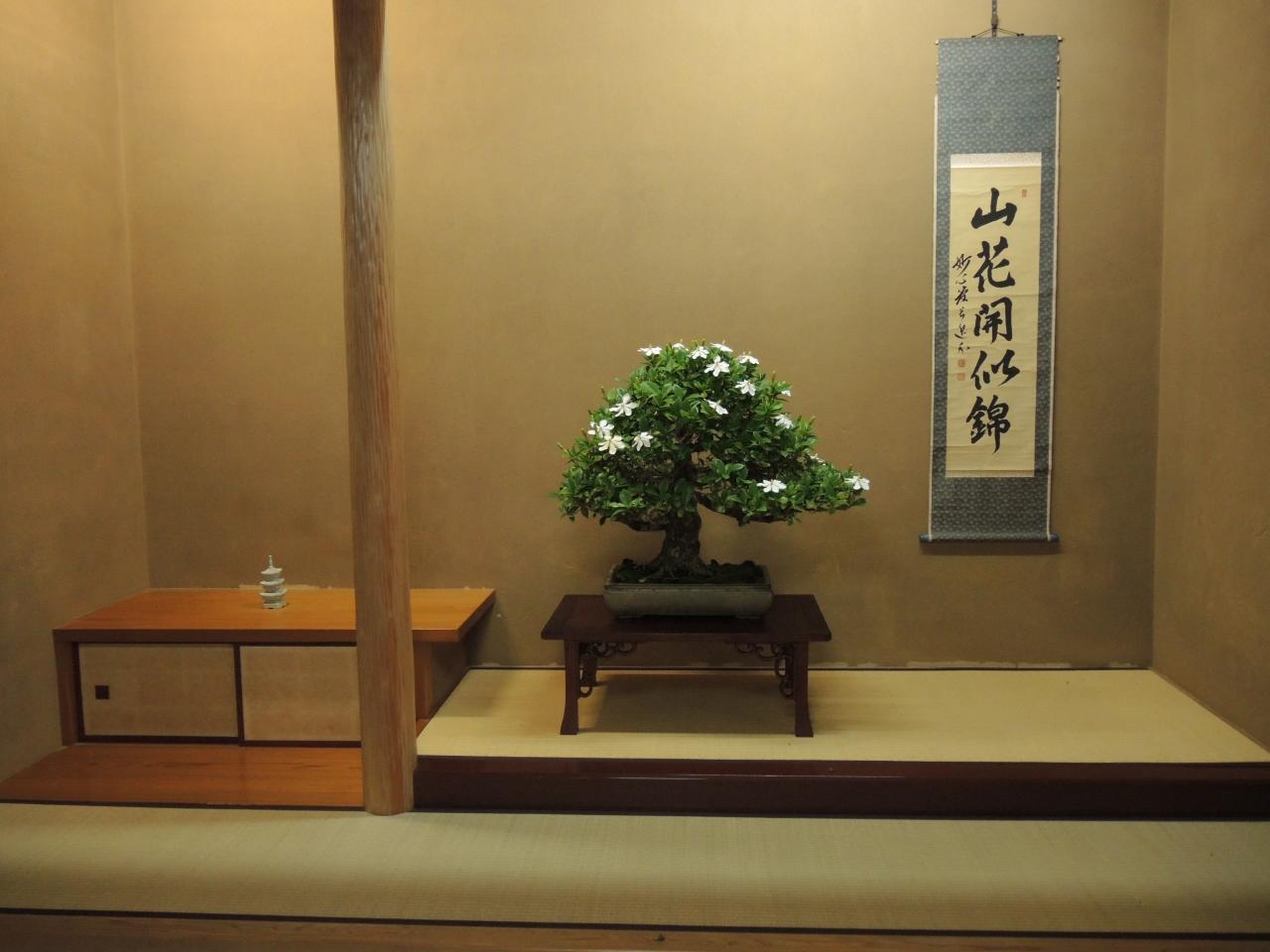 Japanese Bonsai Tokonoma