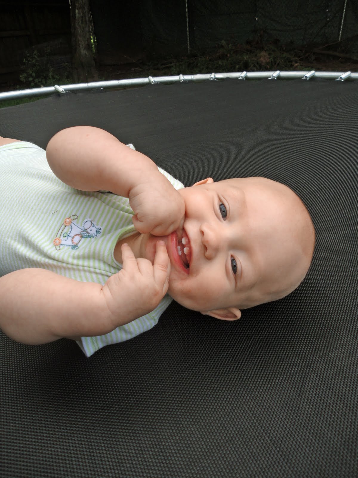 Pleasant Dreams Farm: We ticked off three little kids today.