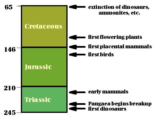 Blog de la clase de Biología y Geología de 1º de Bachillerato del IES ...
