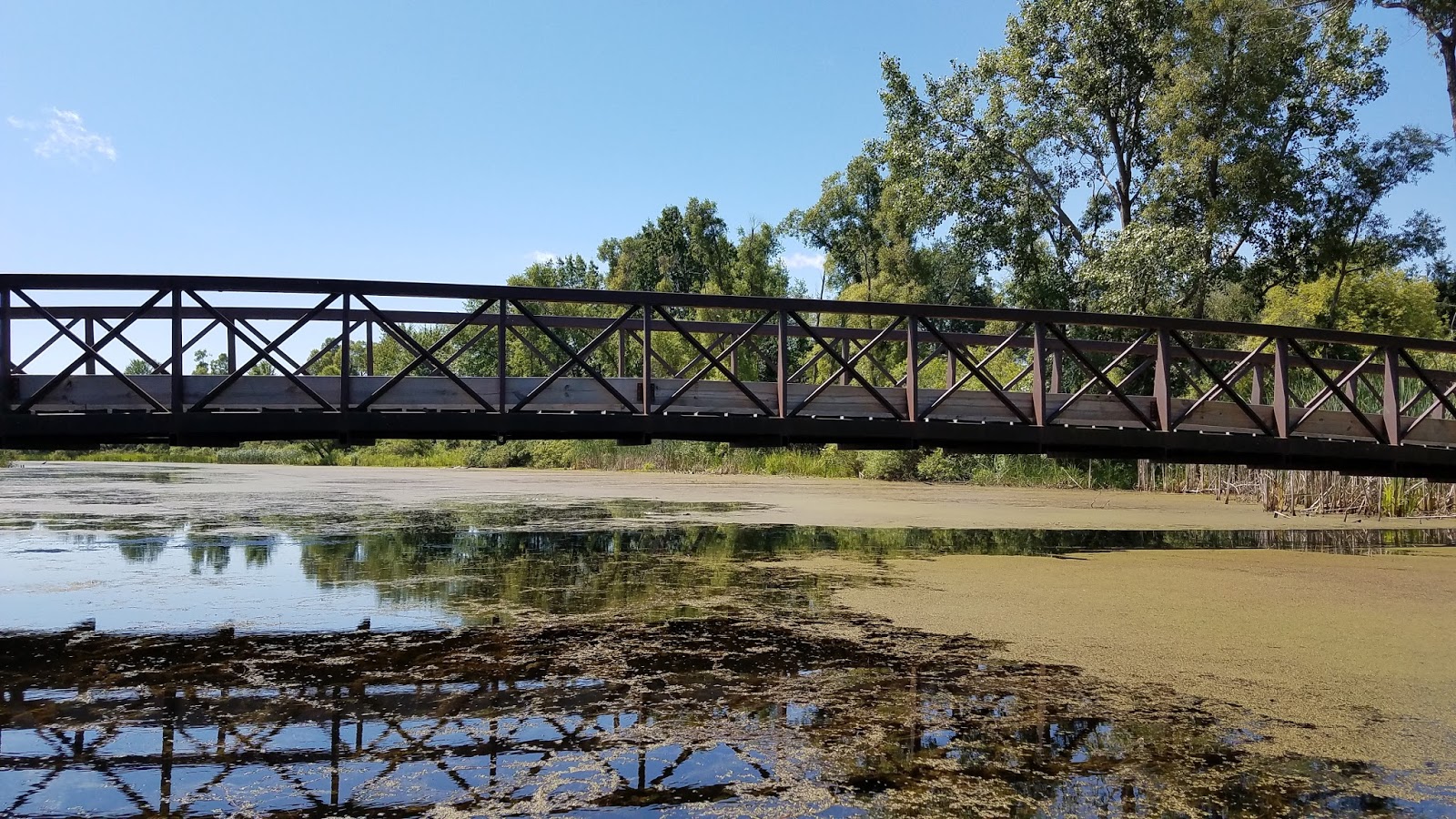The Legend Trail Half & Lake Ovid Kayaking