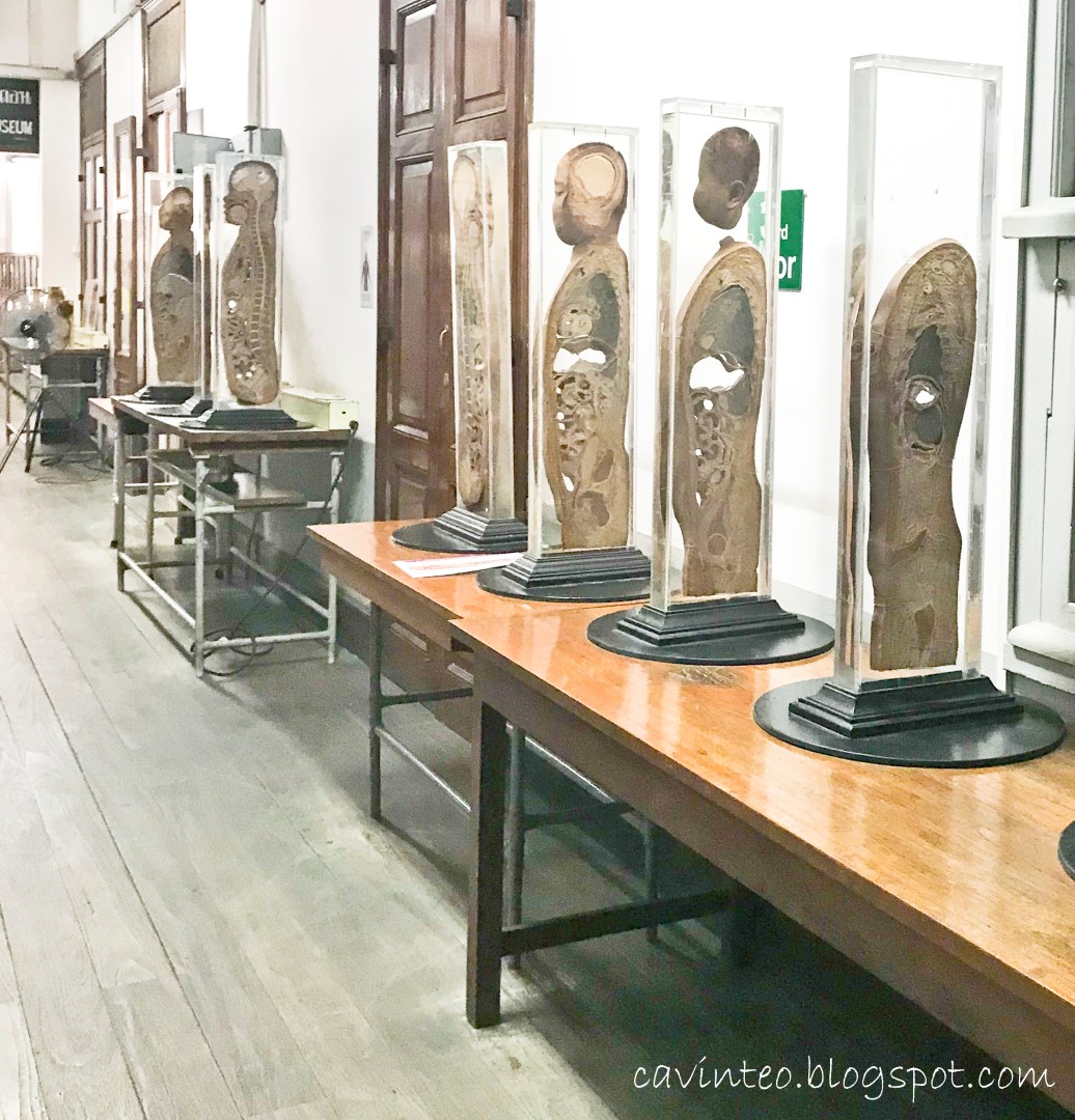 Entree Kibbles: Bangkok's Famous Death Museum - Specifically the ...