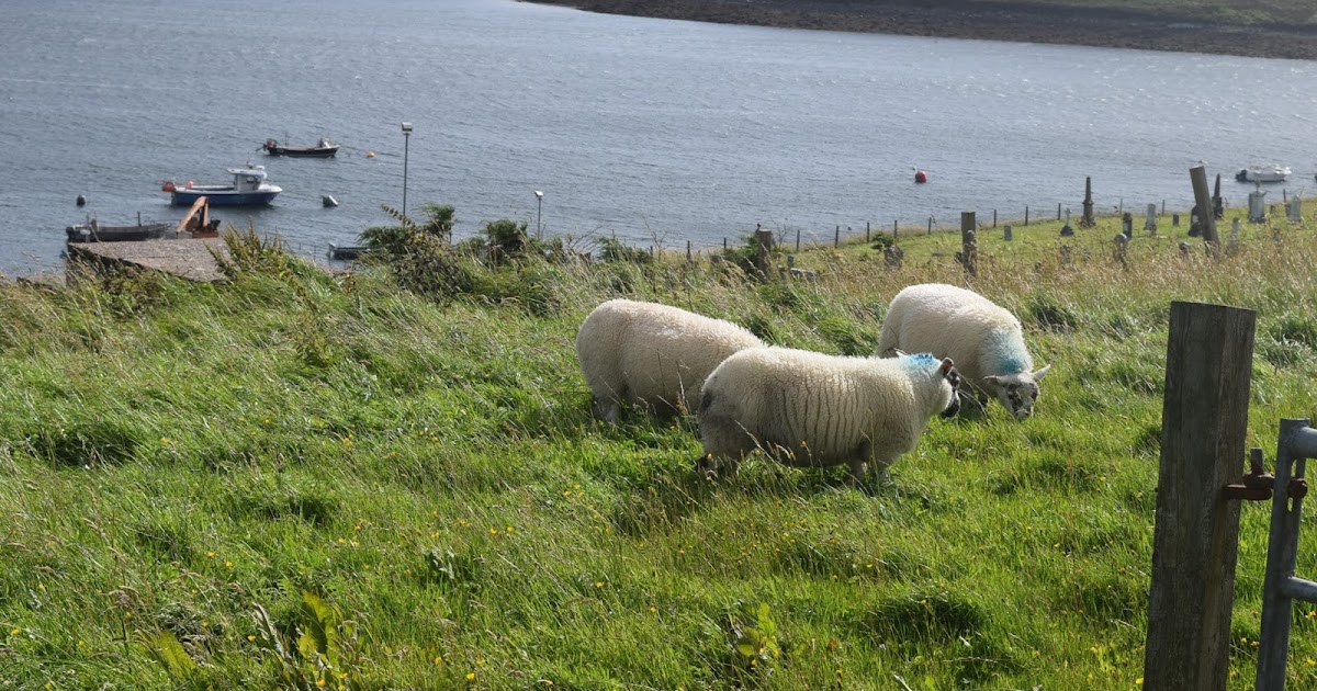 Scotland 2016 - A brief tale of our visit and our foody treats: An ...