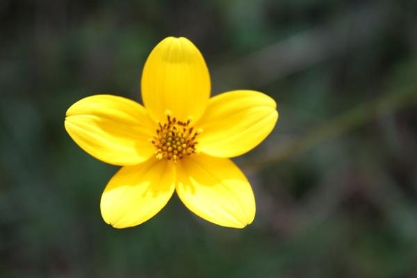 Relatos Históricos, Leyendas, Anéctodas, Sueños para Compartir ...