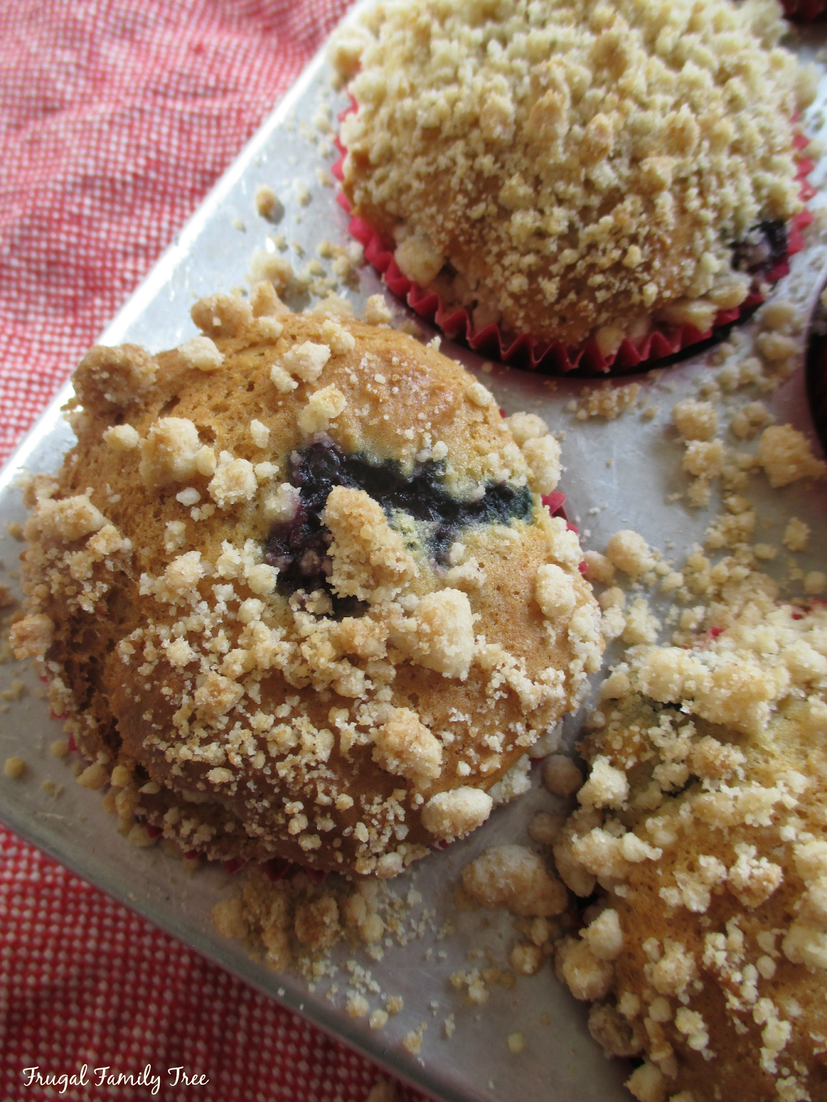 Blueberry Crumb Muffins Recipe | Frugal Family Tree