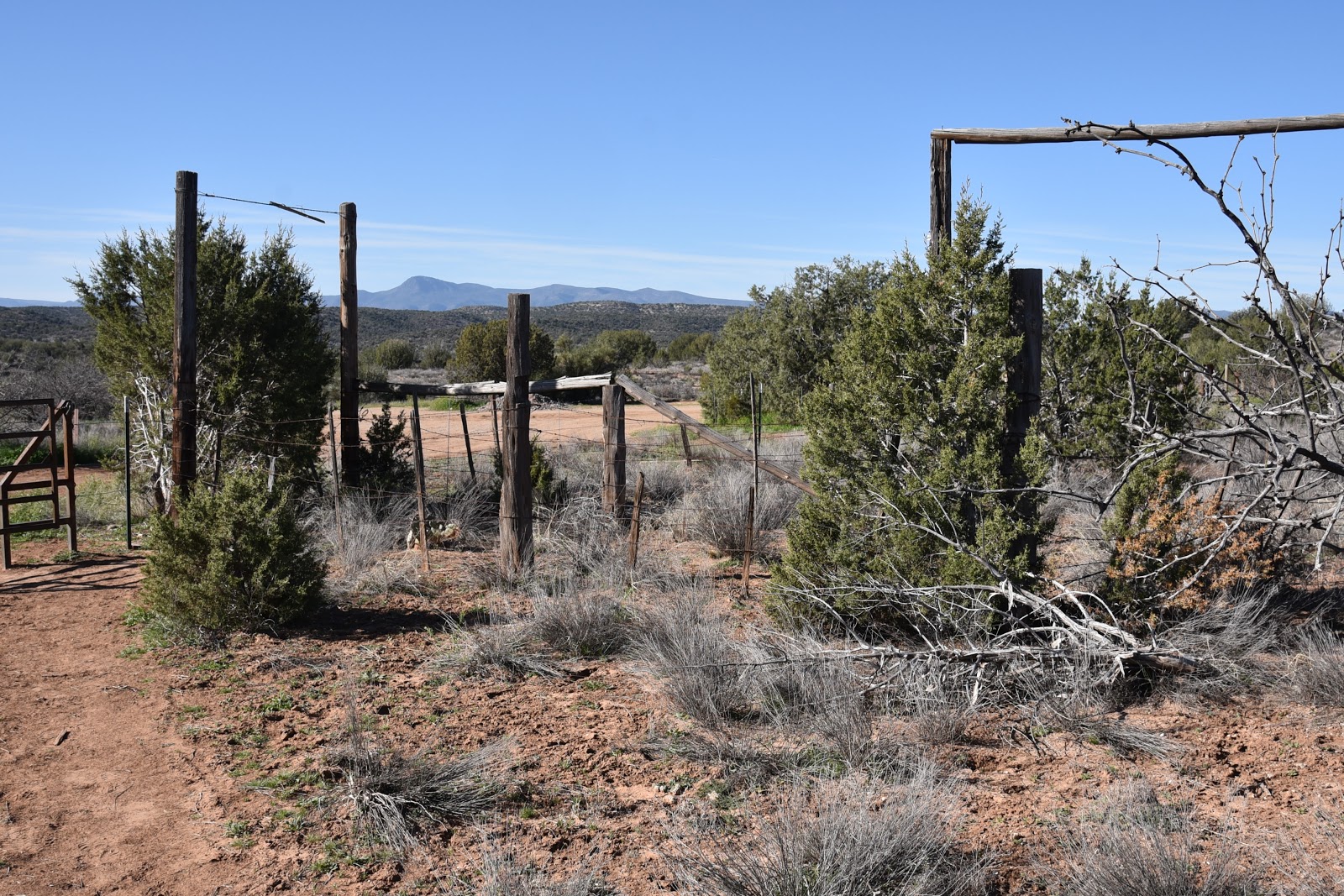 Arizona Hiking: Wickiup Mesa Trail System