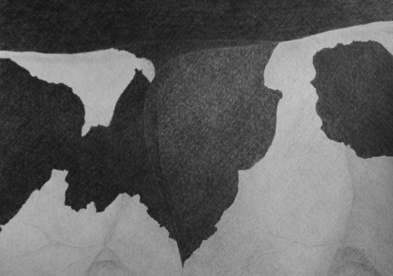 Ennistymon Courthouse Gallery and Studios: “Townlands” Exhibition by ...