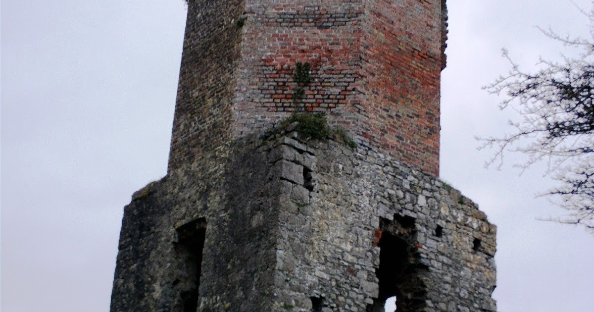 Ireland In Ruins: Nurney Pigeon Tower Co Kildare
