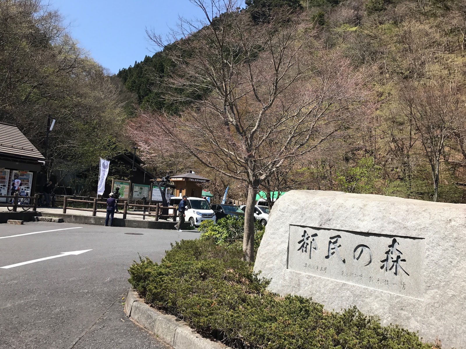 Hiking in Tokyo: Mt. Fuji View from Okutama's Mt. Mito (三頭山 ...