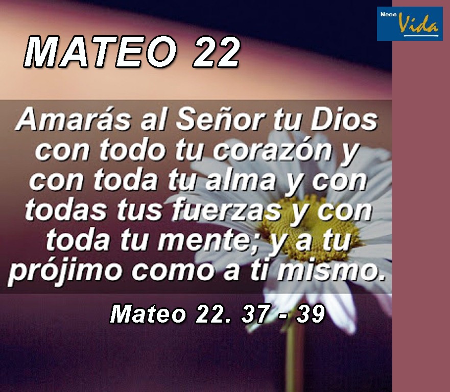 Neco Vida: Leyendo... Mateo capítulo 22