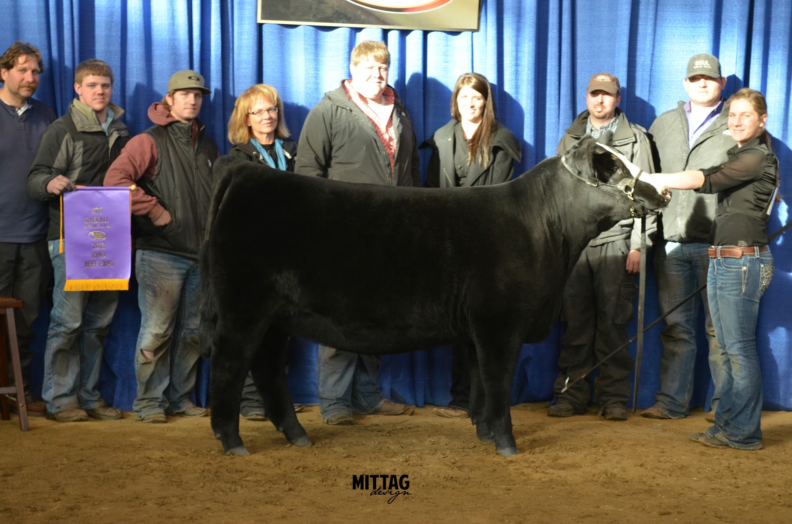 MITTAG Blog: Iowa Beef Expo - Top 5 Heifers