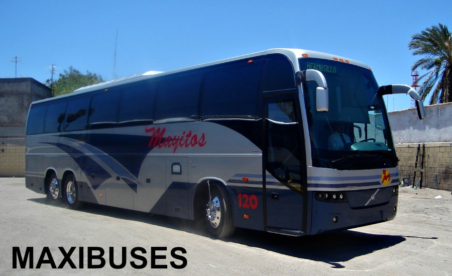 MAXIBUSES: AUTOBUSES LOS MAYITOS
