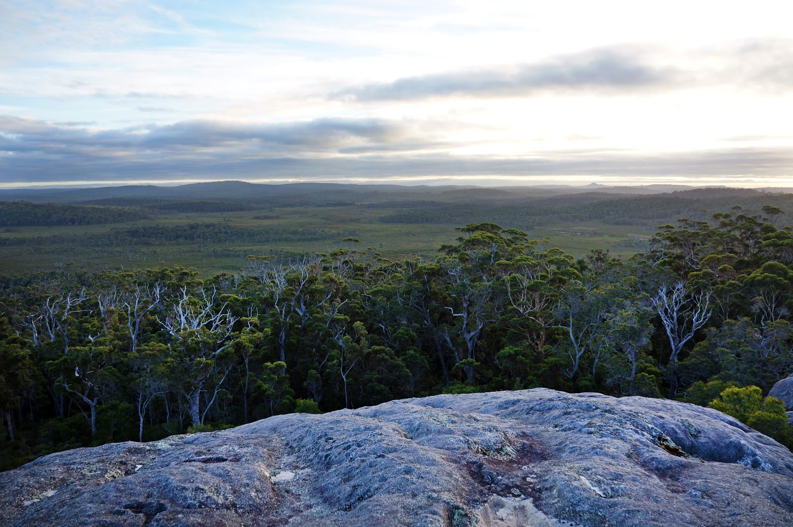 Bibbulmun Track (WA) - Mt Chance to Woolbales ~ The Long Way's Better
