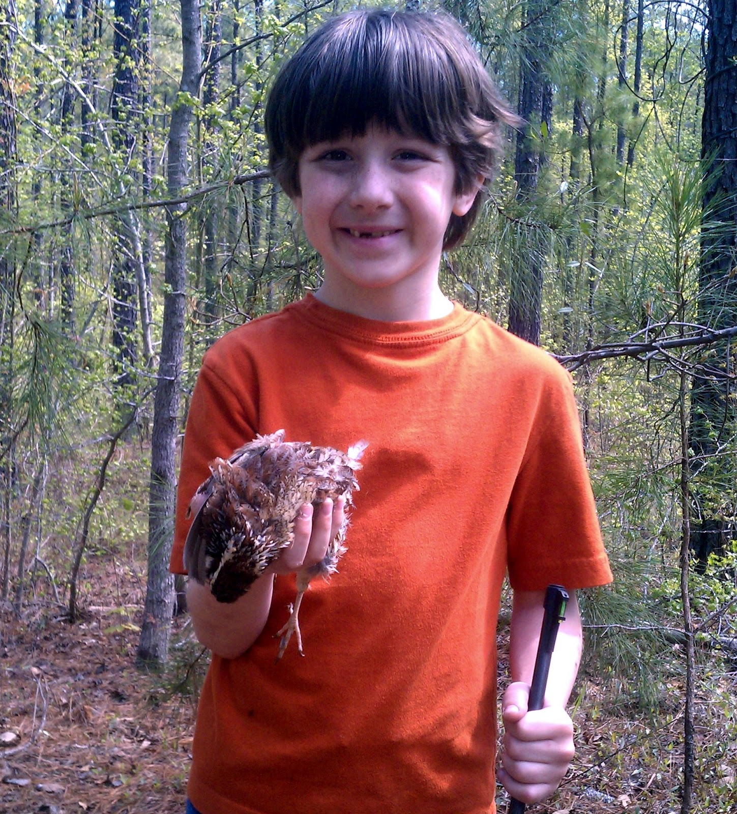 The New Hand Wingshooter Files