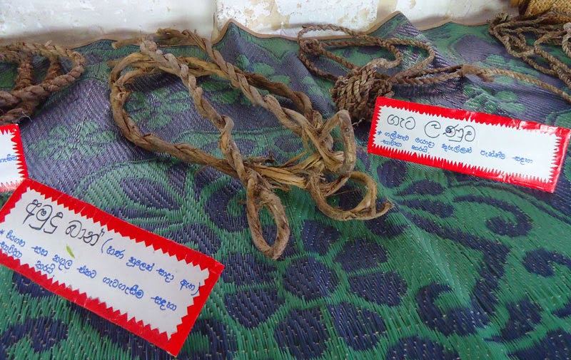 Sri Lankan Woman: සාම්ප්‍රදායික ගොවි උපකරණ (Traditional Farming ...