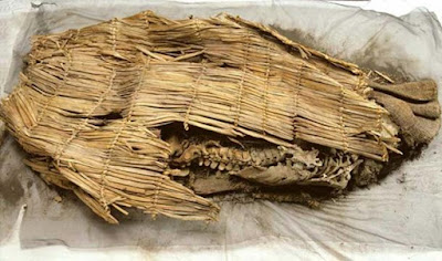 Grand Canyon Mummies: The Original Article