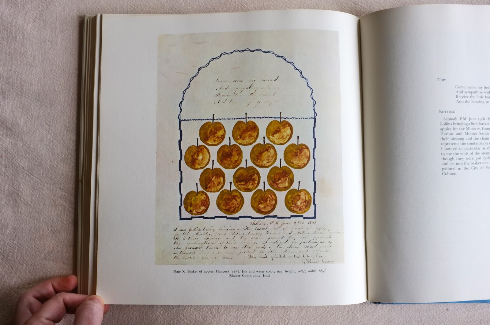 mieke willems: shaker art