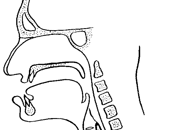 “Descripción de los trastornos del Lenguaje y la Comunicación”: DISGLOSIAS
