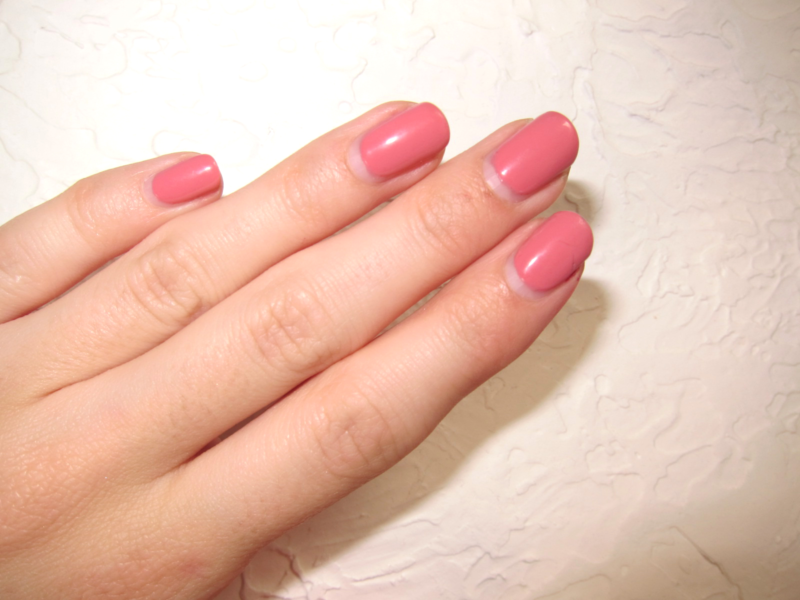 Neeny's Wishlist * ! !: Shellac - Two week update.