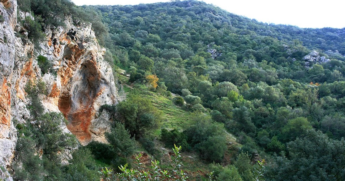 Entorno a Jerez: Los últimos lobos de nuestros montes.Toponimia (3)