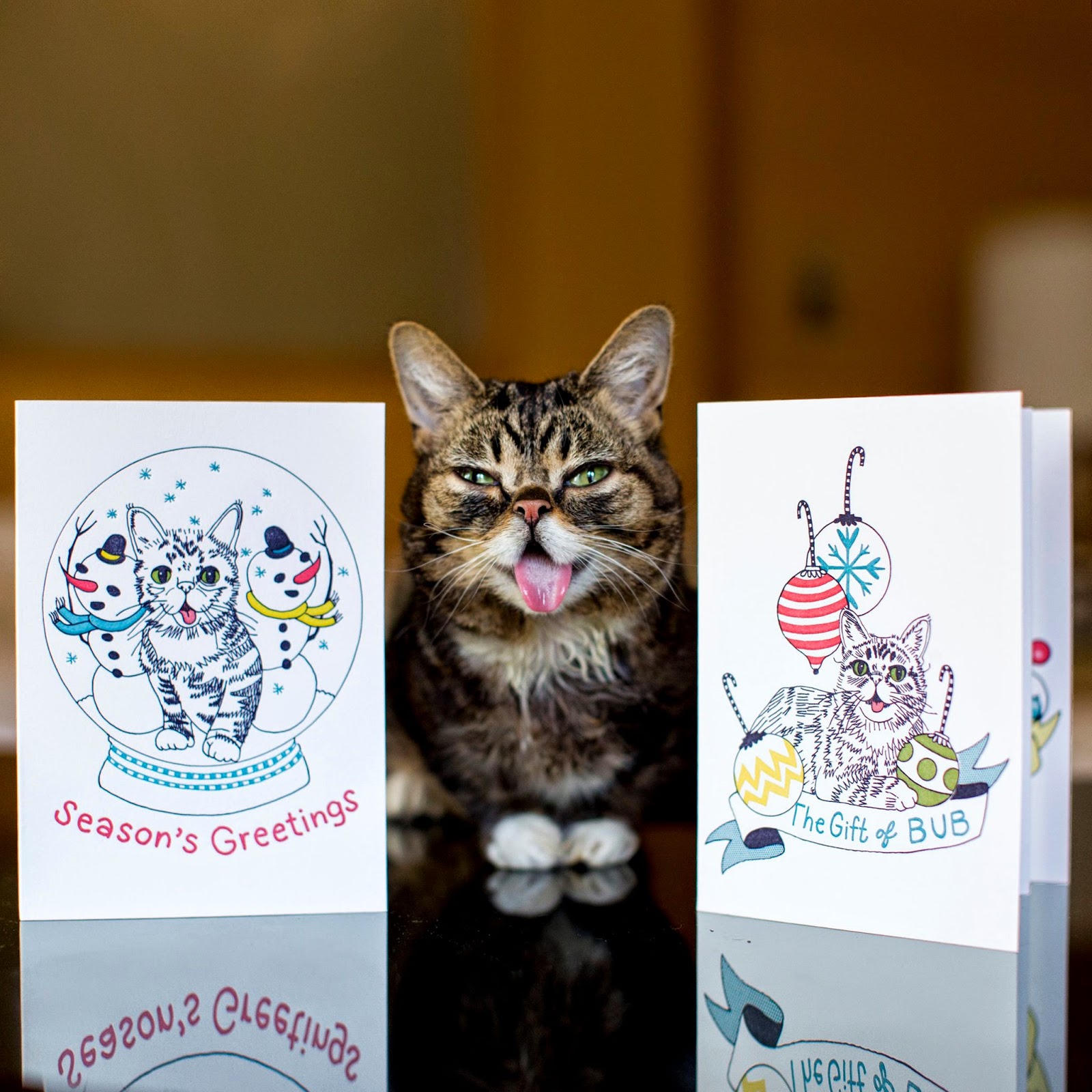 Jennifer Davis Art: Lil Bub Letterpress Greeting Cards!