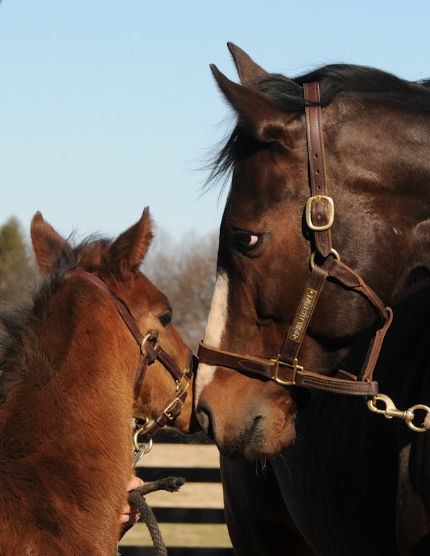 Two Minute Lick: Remembering Mighty Rachel