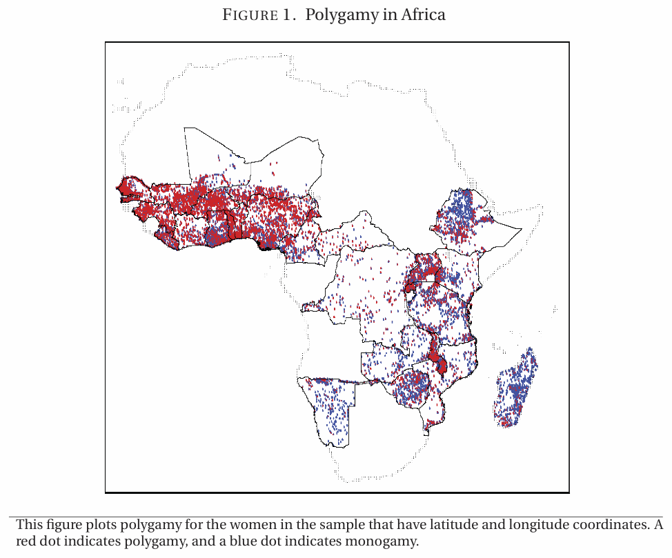 UDADISI: African polygamy