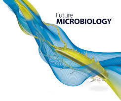 Blog de la Biblioteca General María Moliner de la UM.: septiembre 2018