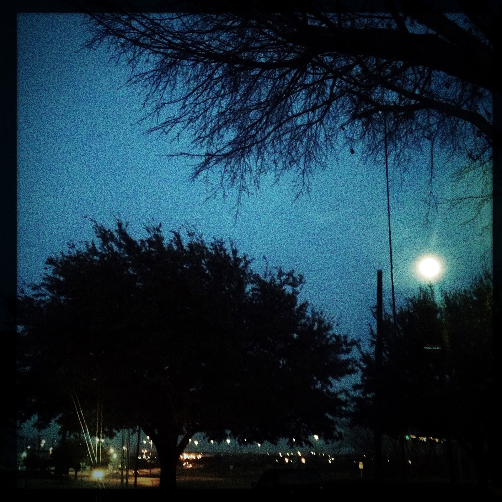 Emily Anderson Photography: December 2012