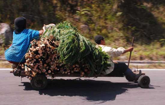 Kendaraan Angkut Bagi Petani