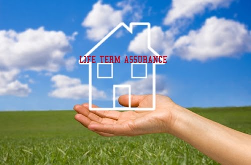 Cheap Life Term Insurances | Life term Assurance | Cheap Term Life ...