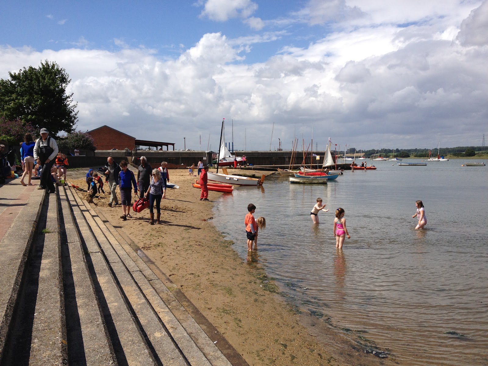 Tales of a Weekend Wood-Butcher